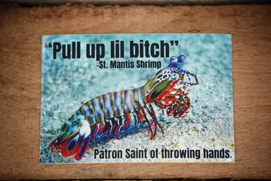 Mantis Shrimp Sticker – Stay The Course LLC